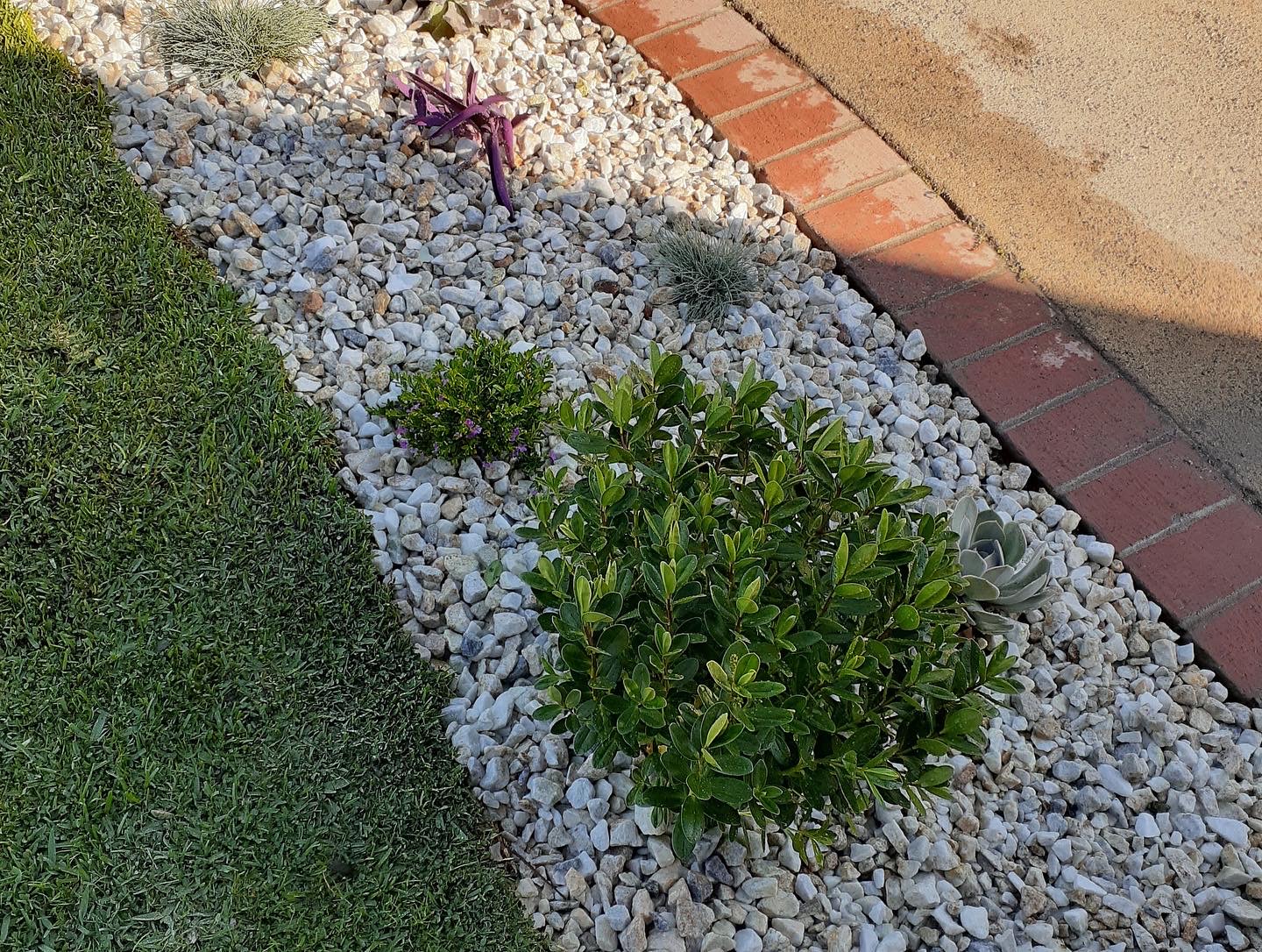 Gallery | Ariel Landscaping & Lawncare